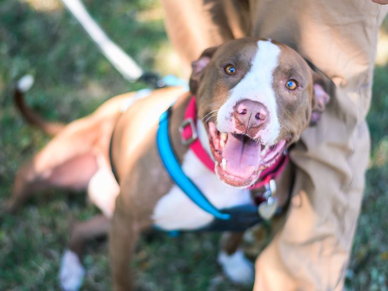 Project Freedom Ride - CUDDLY Blog