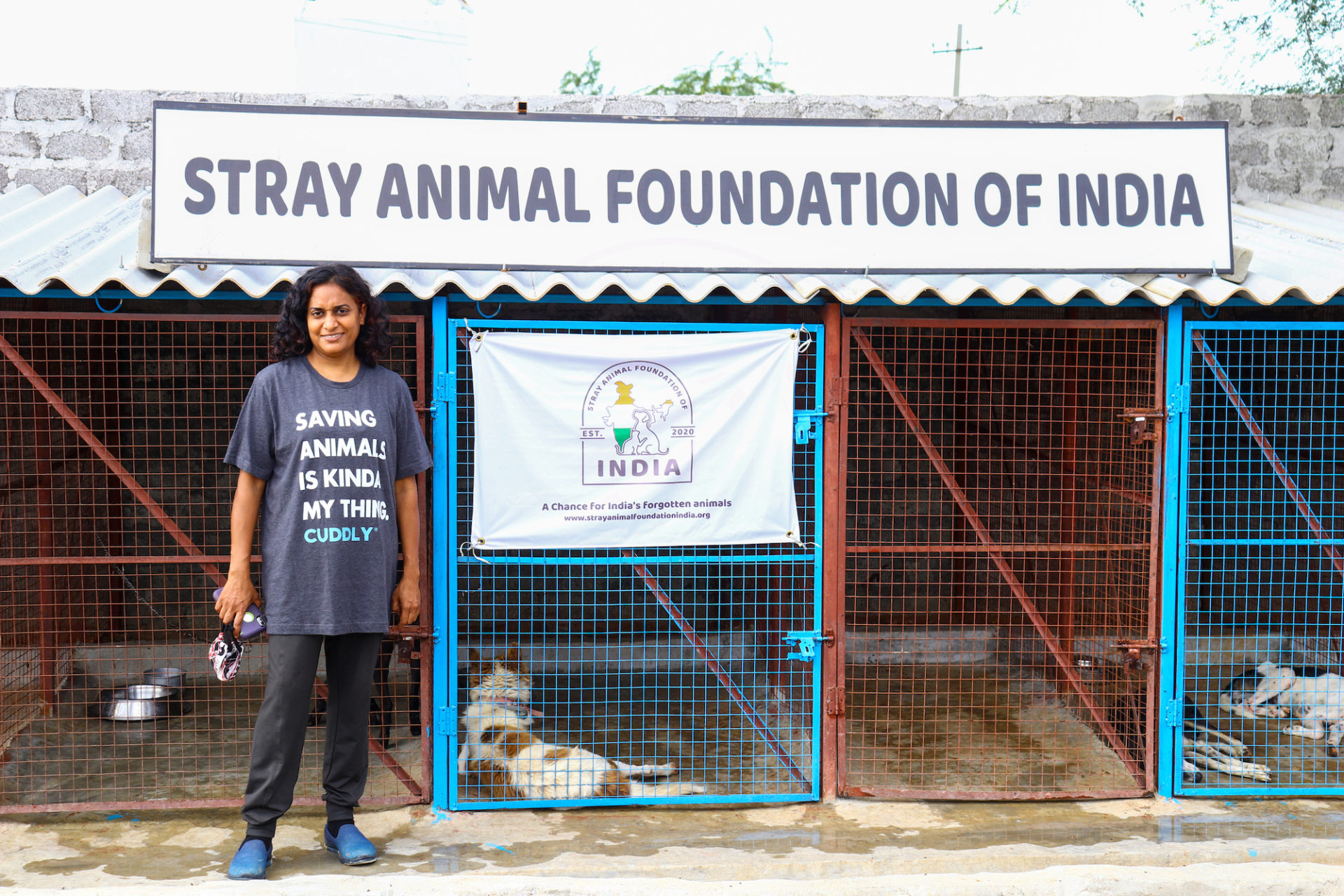The Happy Stray: Stray Animal Foundation of India - CUDDLY Blog