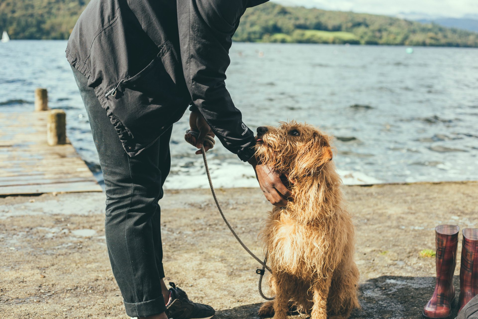How To Train Your Dog To Detect A Diabetic s Low Blood Sugar CUDDLY Blog How To Train Your Dog To Detect A Diabetic s Low Blood Sugar CUDDLY Blog