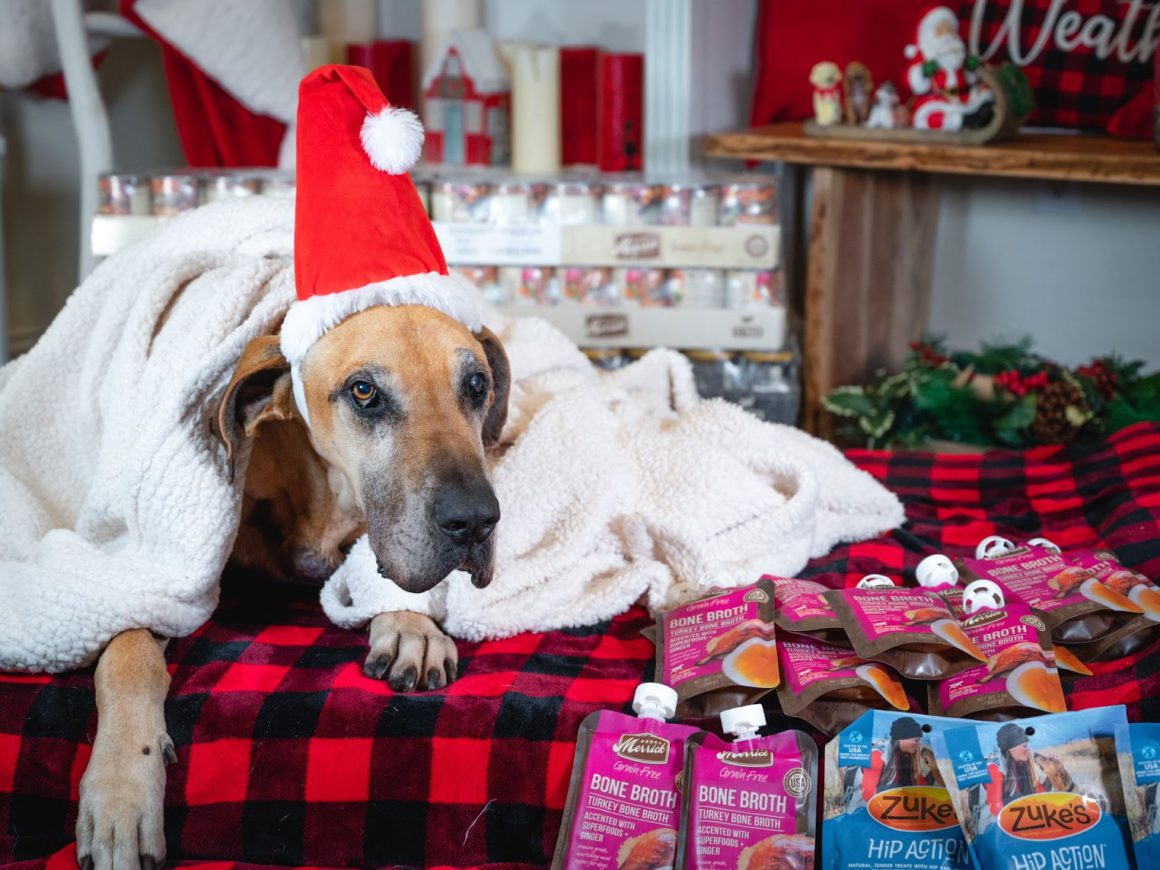 Project Freedom Ride - CUDDLY Blog