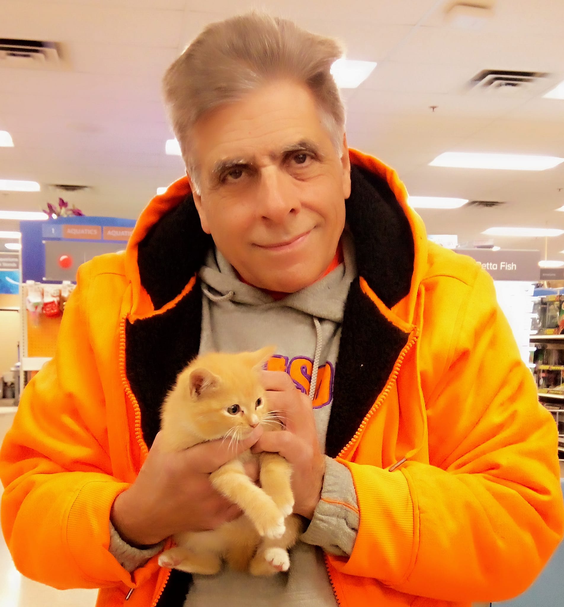 How Cats Made America: Feline Lifeline - CUDDLY Blog