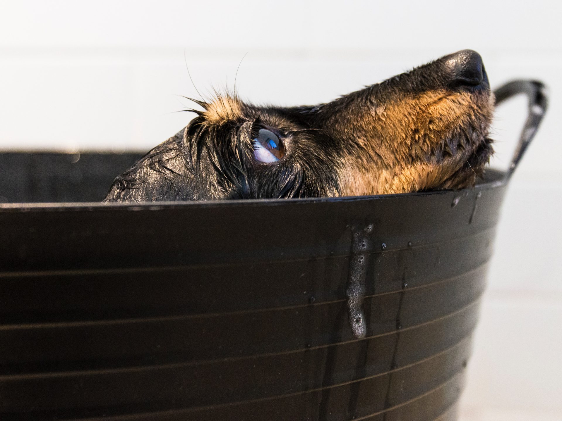 Decompression (The 3-3-3 Rule) - CUDDLY Blog