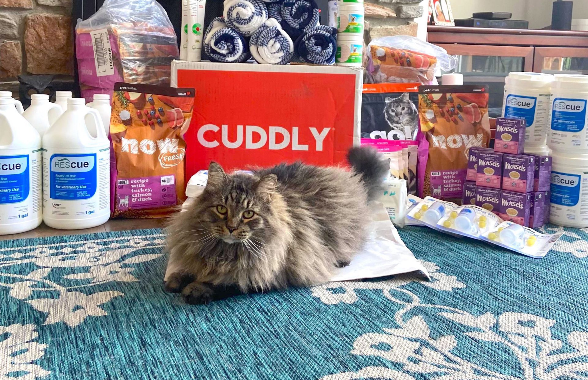 Homepage - CUDDLY Blog