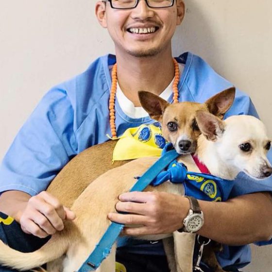 A Letter To My Abusers - From Perkins, the Dog - CUDDLY Blog