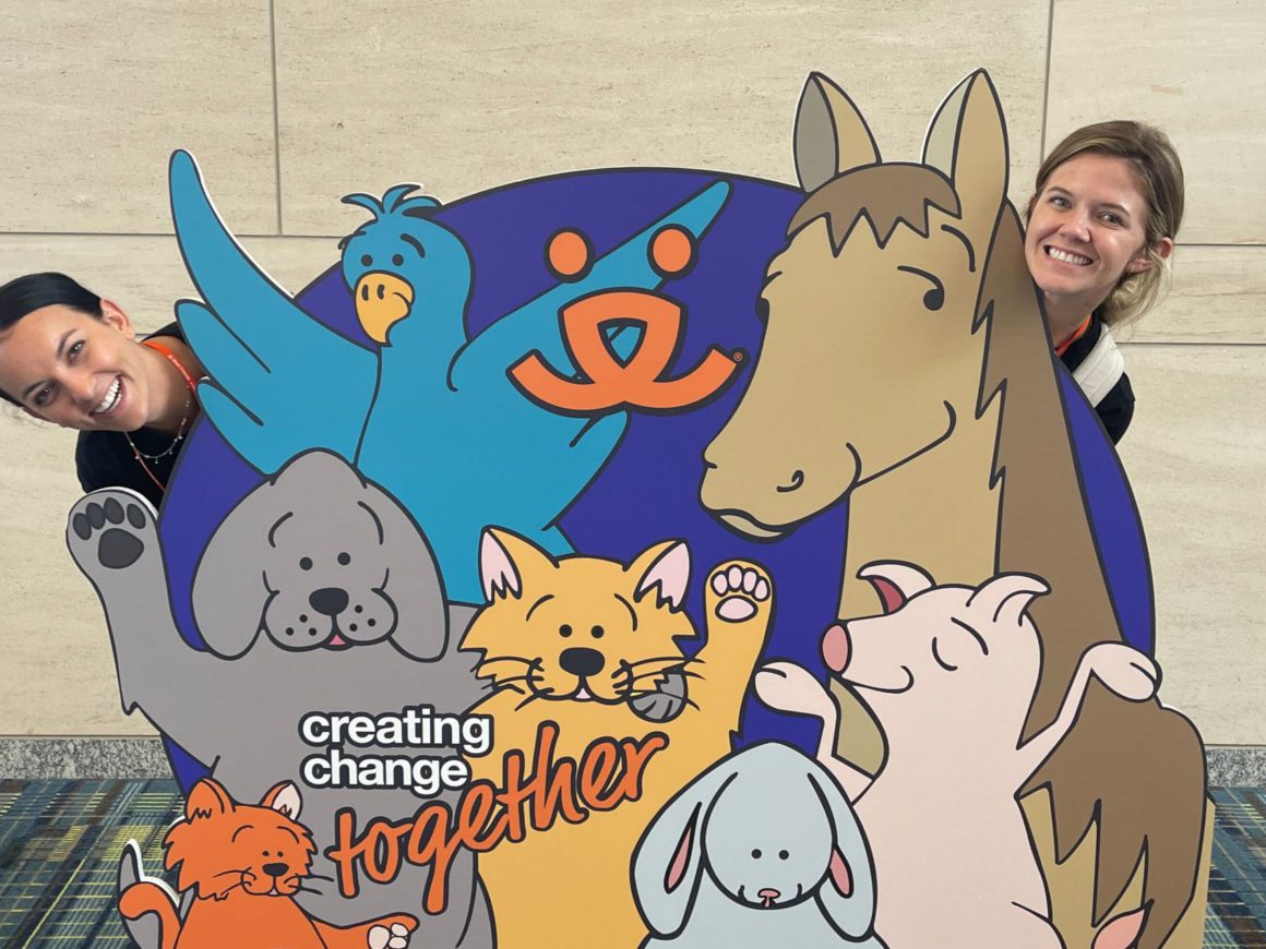 Celebrating National Mutt Day - CUDDLY Blog