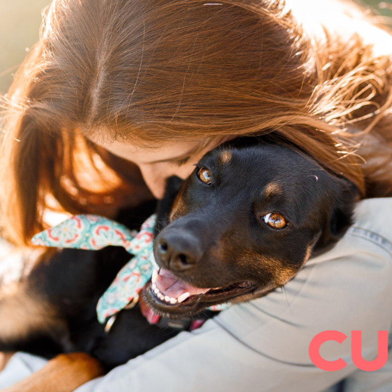 Meet CUDDLY CEO, John Hussey